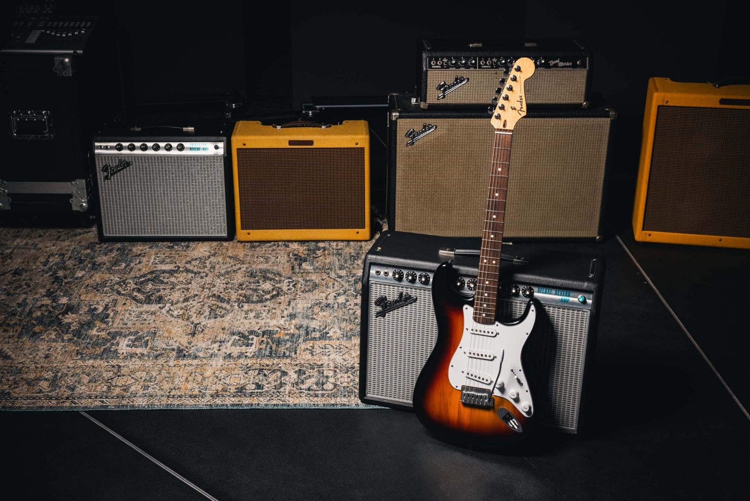 Standard Series - Fender Family